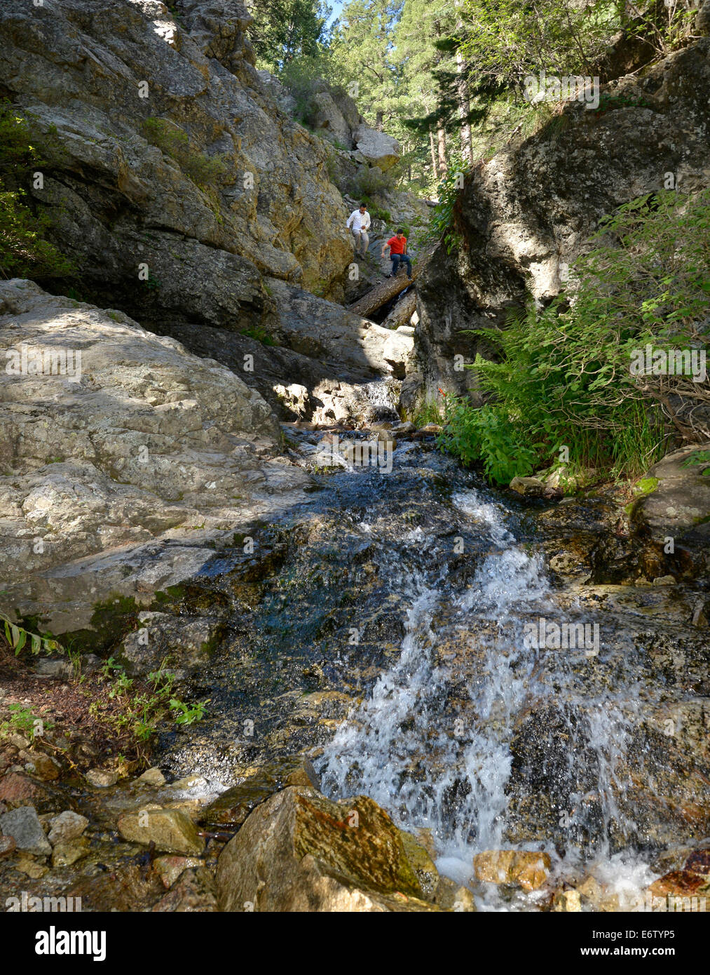 Hikers enjoy Post Creek at Mount Graham in the Pinaleño Mountains ...