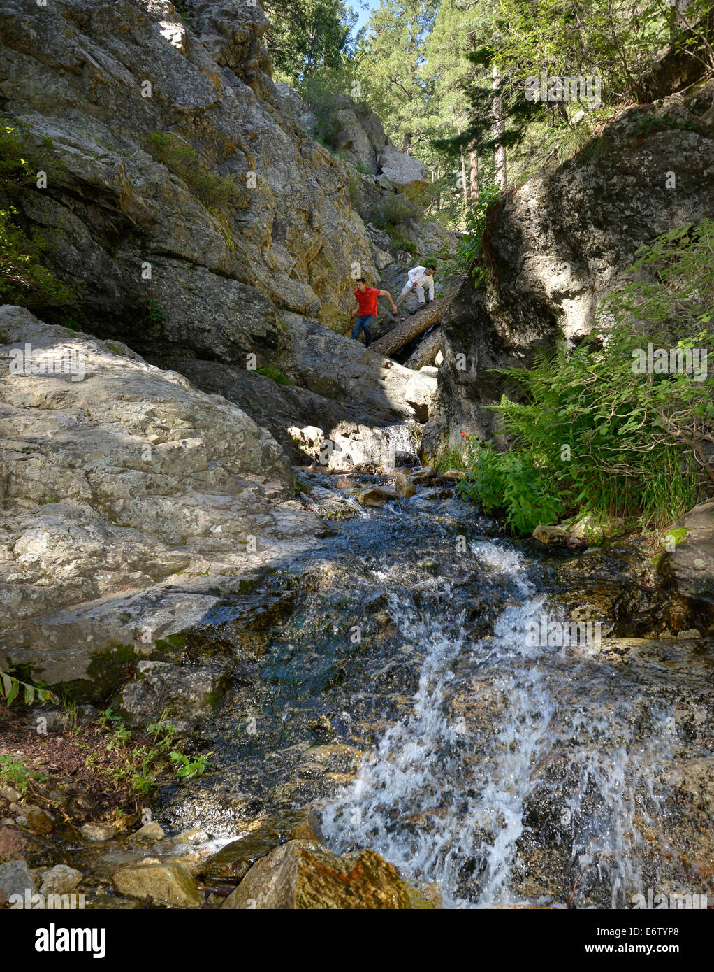 Hikers enjoy Post Creek at Mount Graham in the Pinaleño Mountains ...