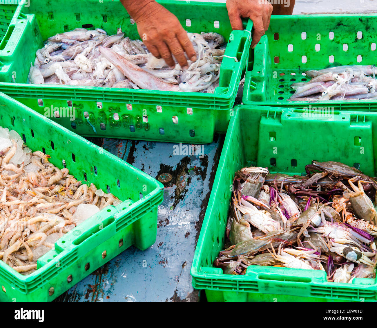 Prawn boxes hi-res stock photography and images - Alamy