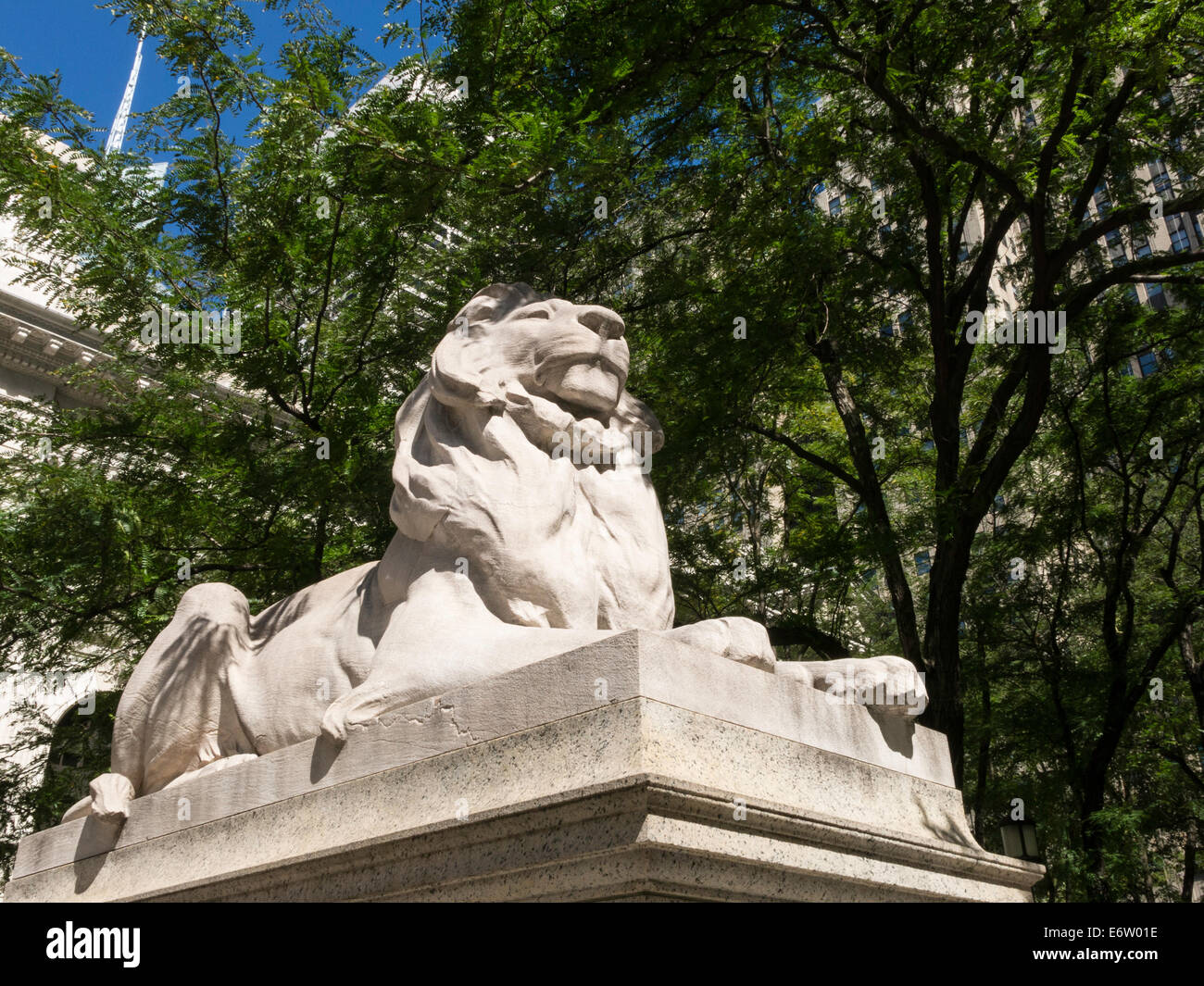 Lion Statues New York Public Library at Louise Rizo blog