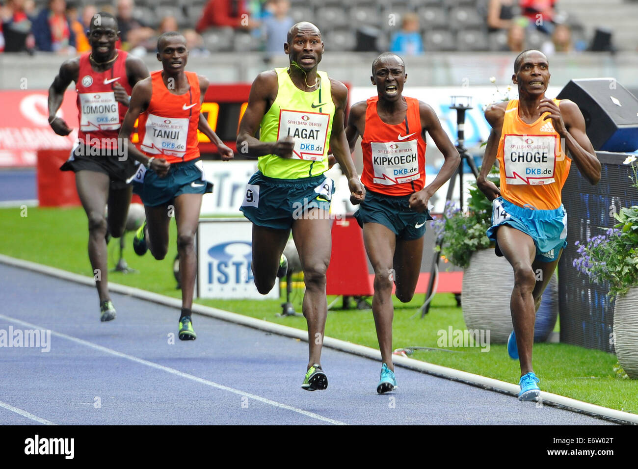 Berlin, Germany. 31st Aug, 2014. Istaf 2014, track-and-field events ...