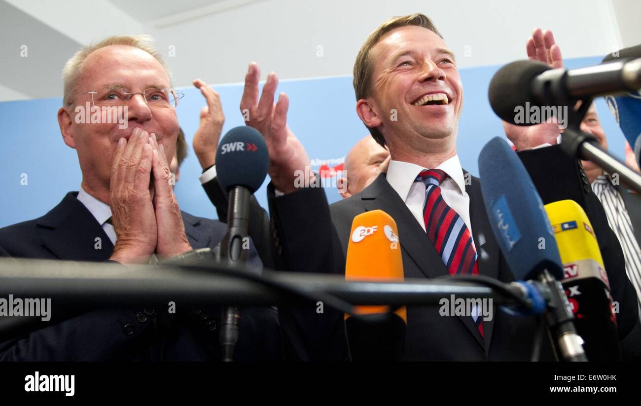 Hans Olaf Henkel High Resolution Stock Photography and Images - Alamy