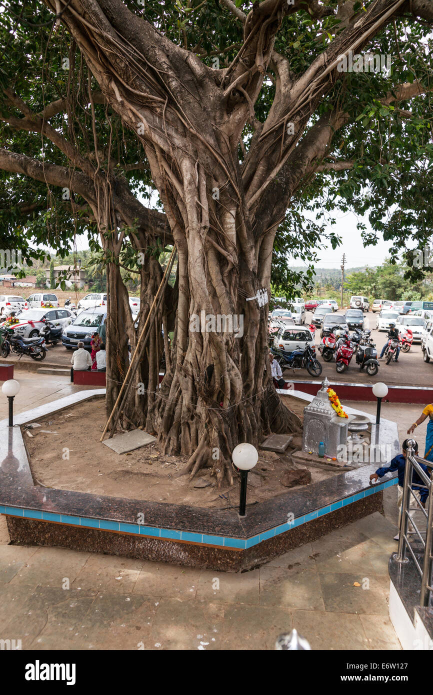 Hindu temple in Mapusa, Goa India Stock Photo - Alamy