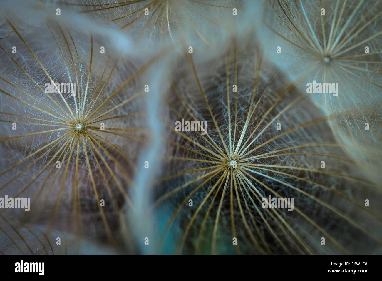 Fragile objects hi-res stock photography and images - Alamy