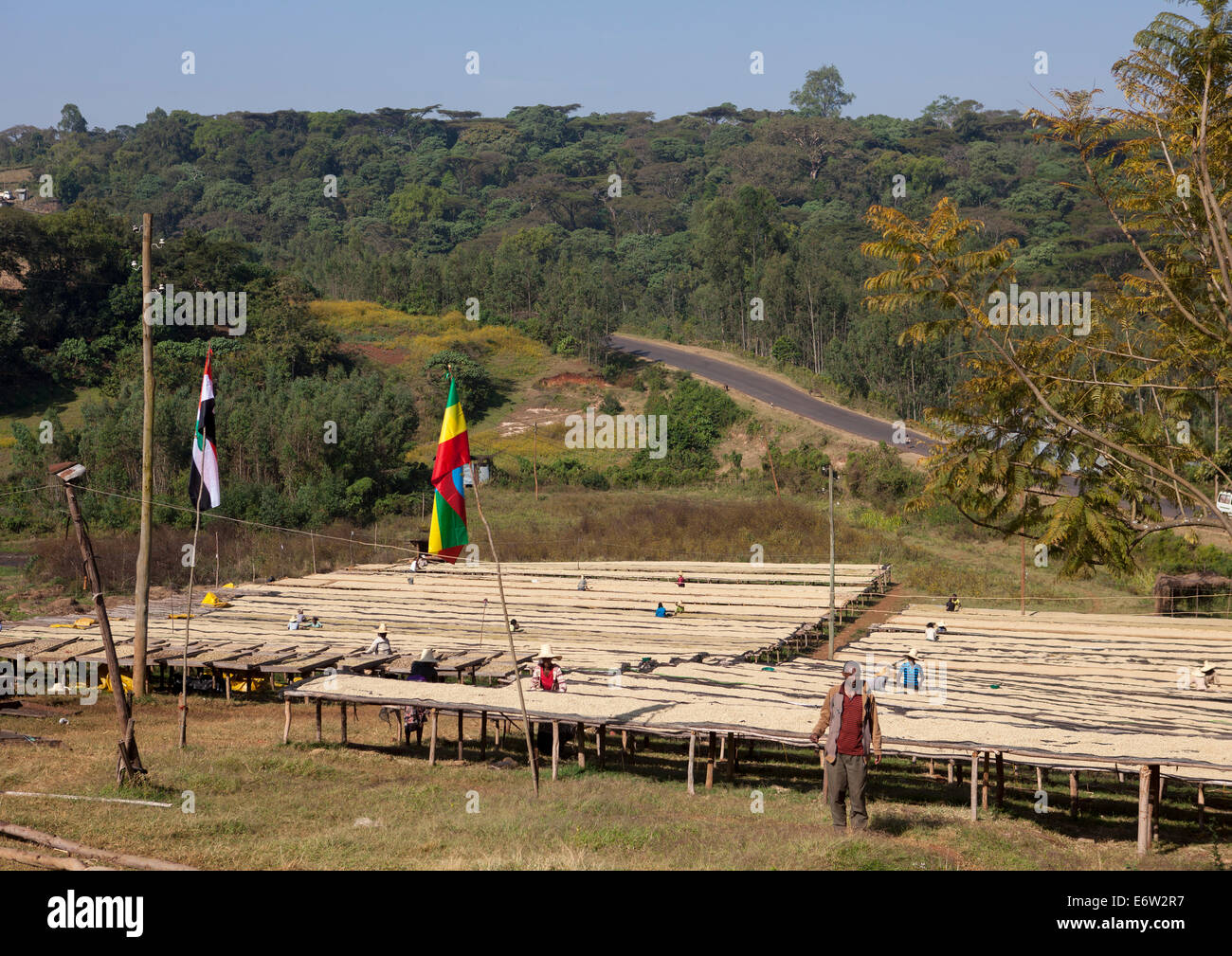 Ethiopia oromo coffee hi-res stock photography and images - Alamy