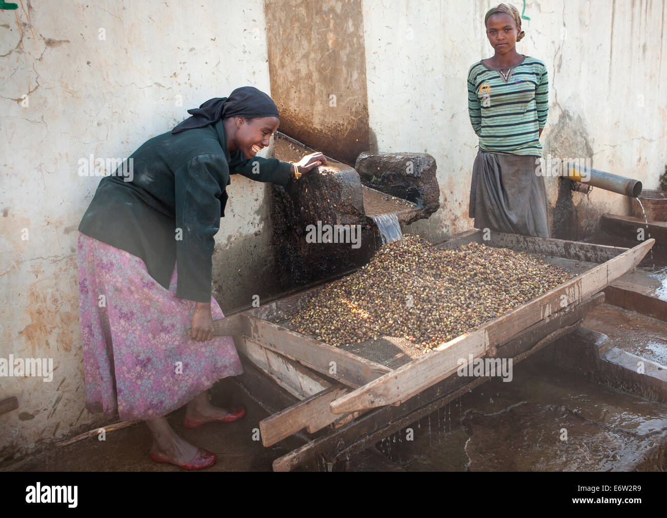 Jimma Stock Photos & Jimma Stock Images - Alamy