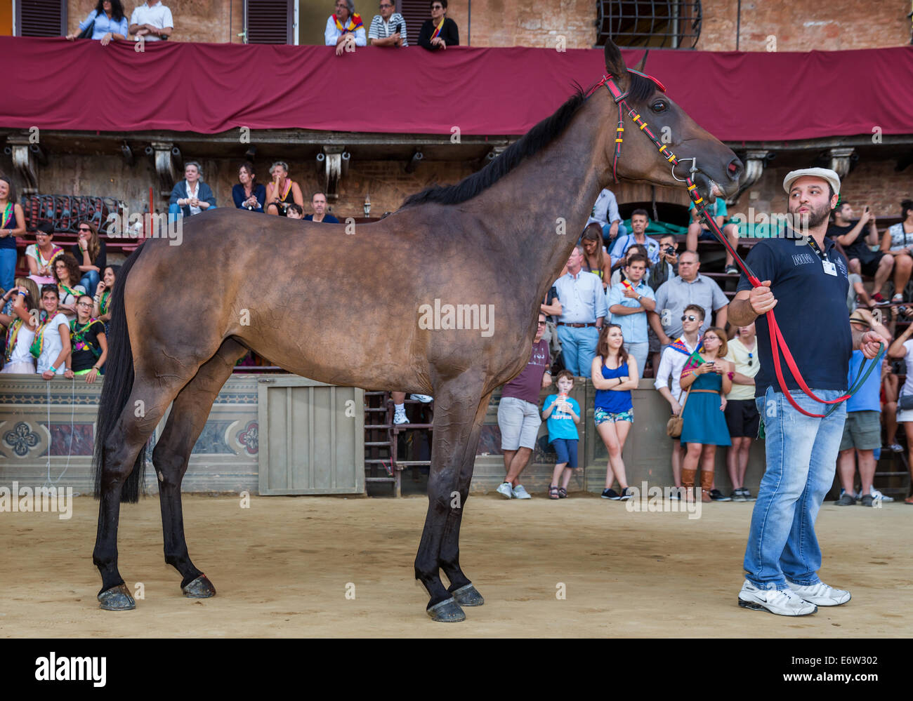 Animal parade hi-res stock photography and images - Alamy