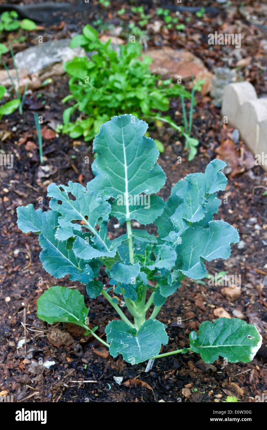 Saturated soil hi-res stock photography and images - Alamy