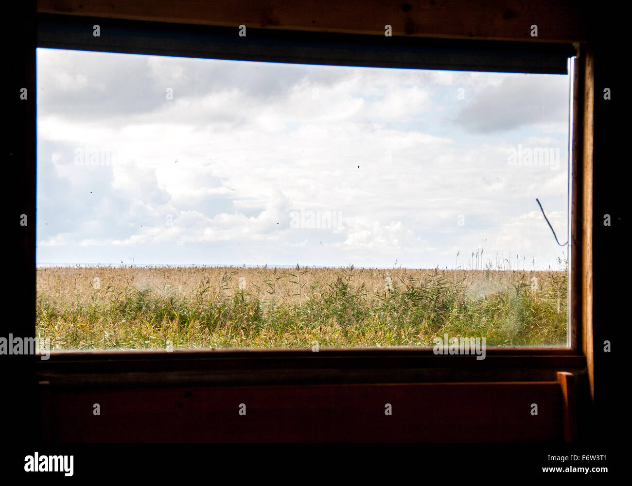 Nature through window Stock Photo - Alamy