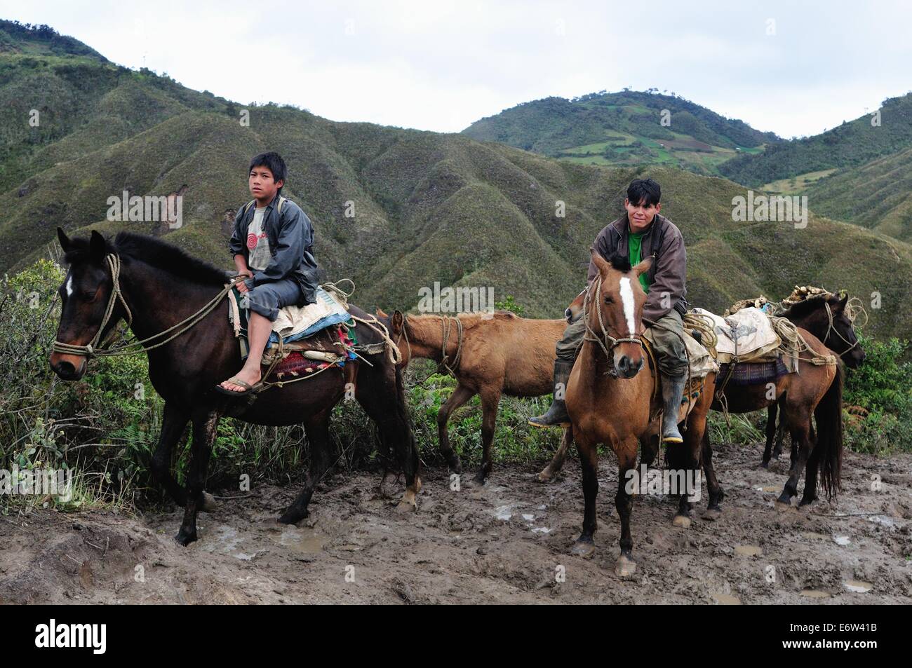 Route for collecting potatoes in Cruzpata - CHACHAPOYAS . Department of ...