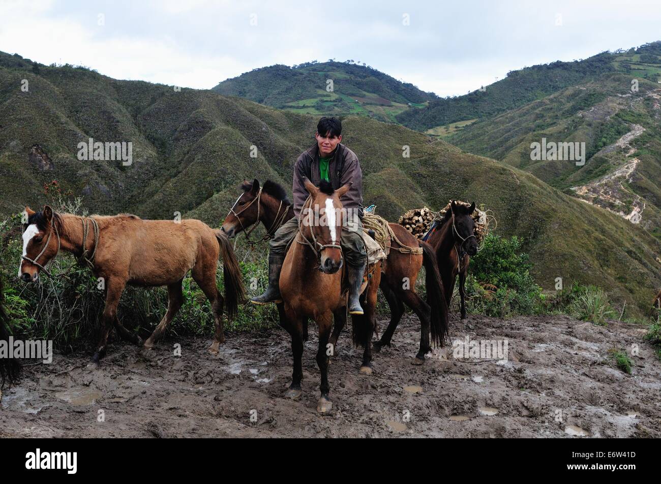Route for collecting potatoes in Cruzpata - CHACHAPOYAS . Department of ...