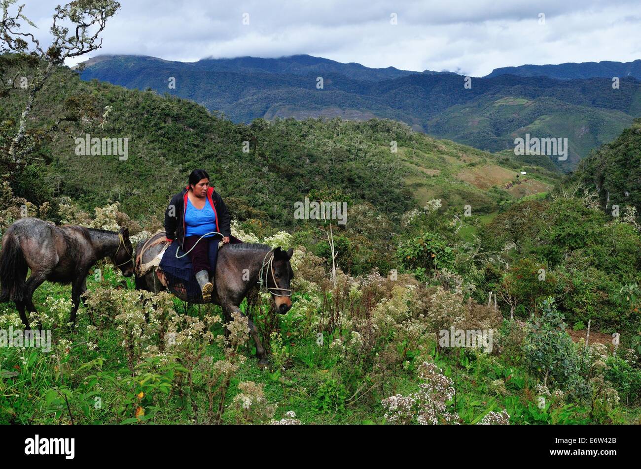 Route for collecting potatoes in Cruzpata - CHACHAPOYAS . Department of ...