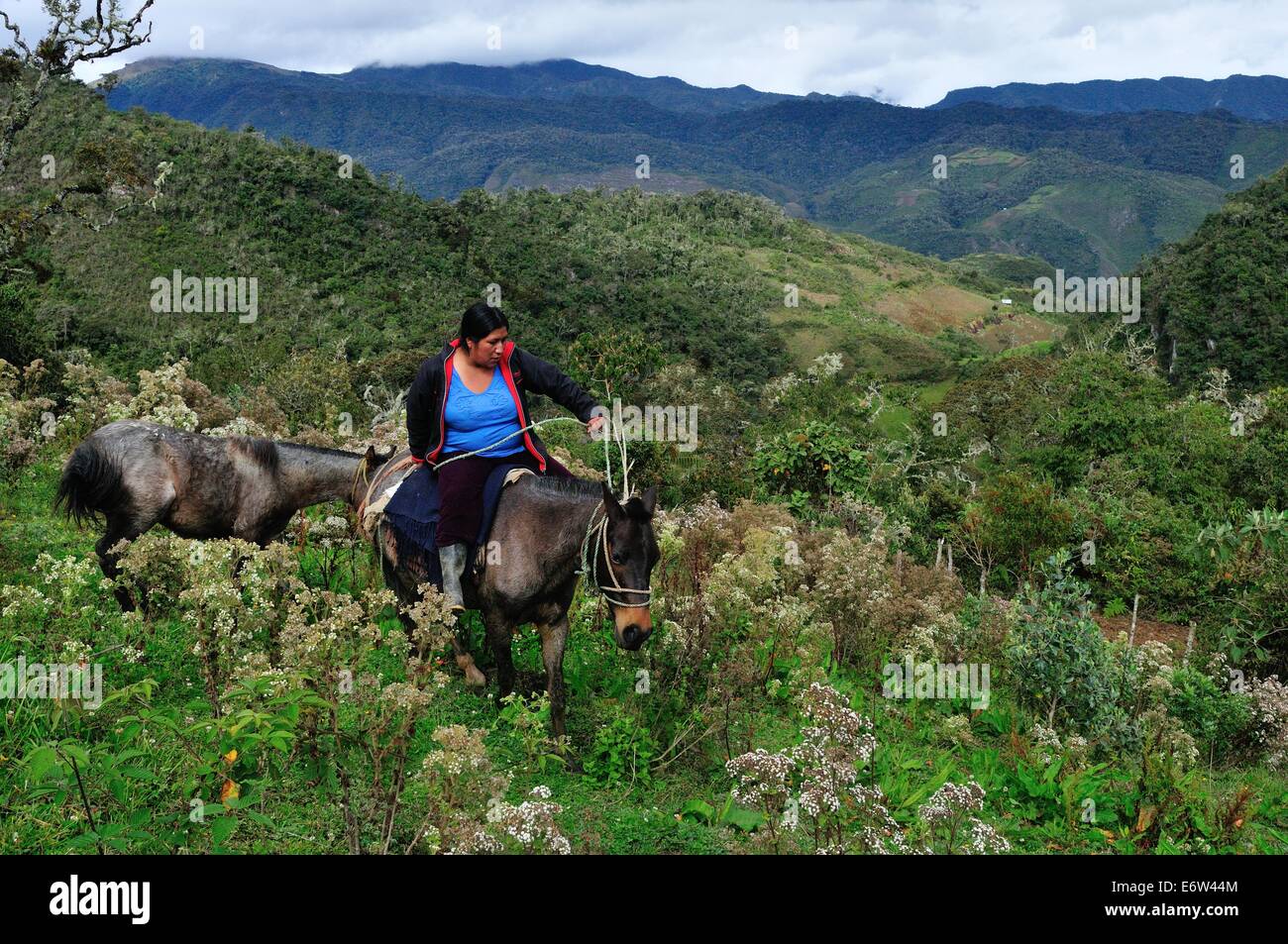 Route for collecting potatoes in Cruzpata - CHACHAPOYAS . Department of ...