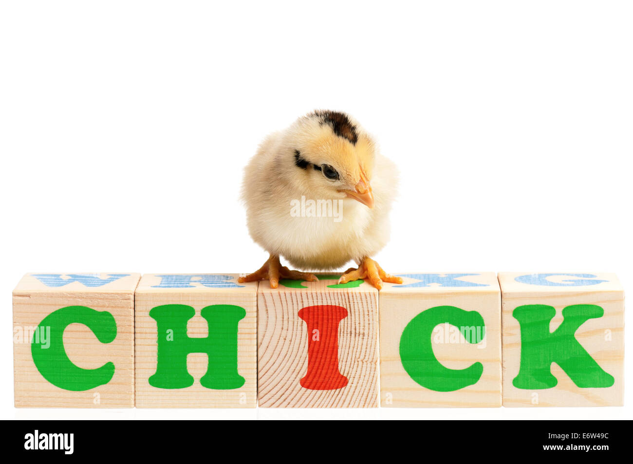 Chicken word hi-res stock photography and images - Alamy
