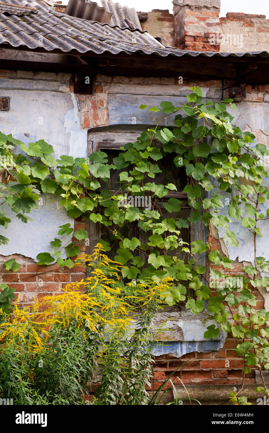 Abandoned old house window Stock Photo - Alamy