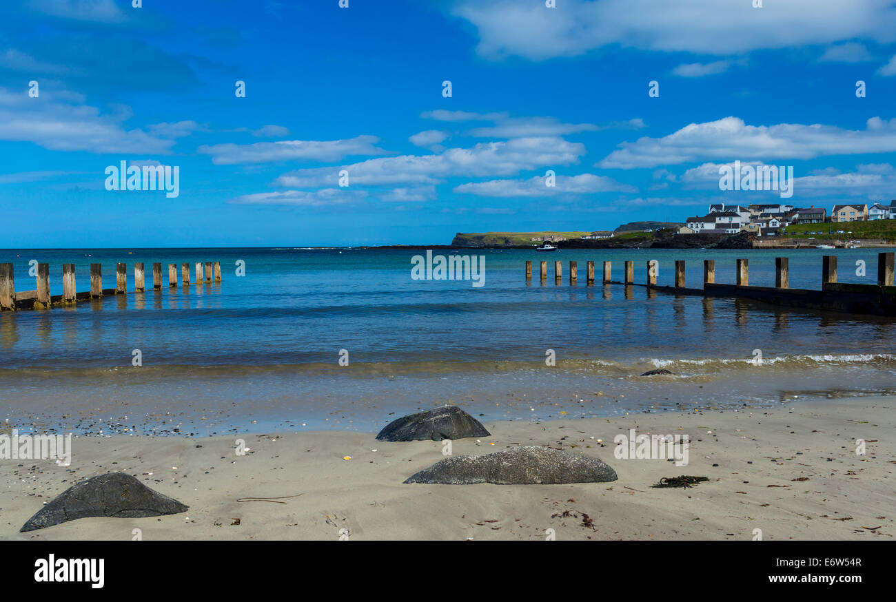 Portballintrae Harbour County Antrim Northern Ireland Stock Photo - Alamy