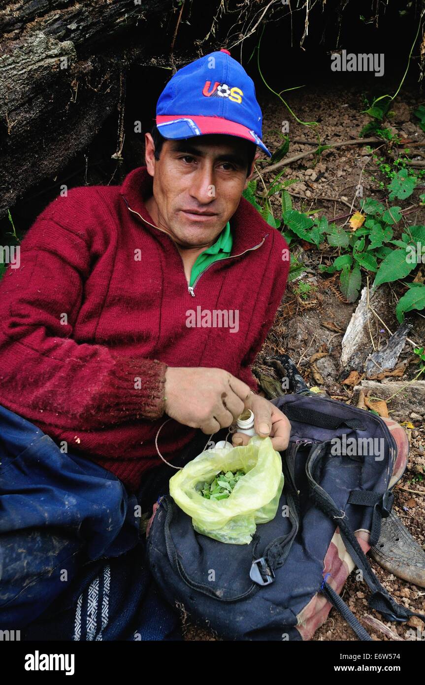 Peru chewing coca leaves hi-res stock photography and images - Alamy