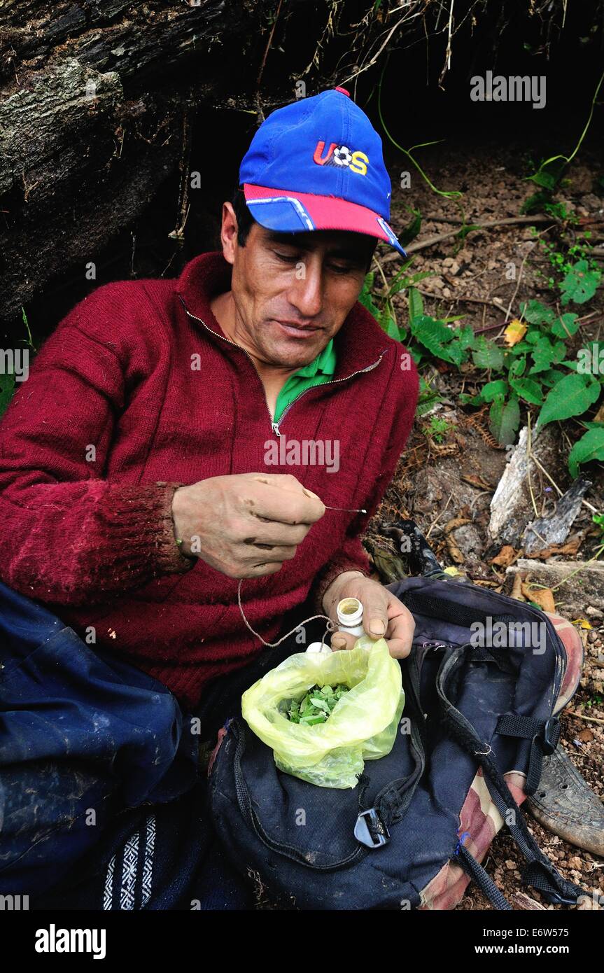 People peru chewing coca leaves hi-res stock photography and images - Alamy