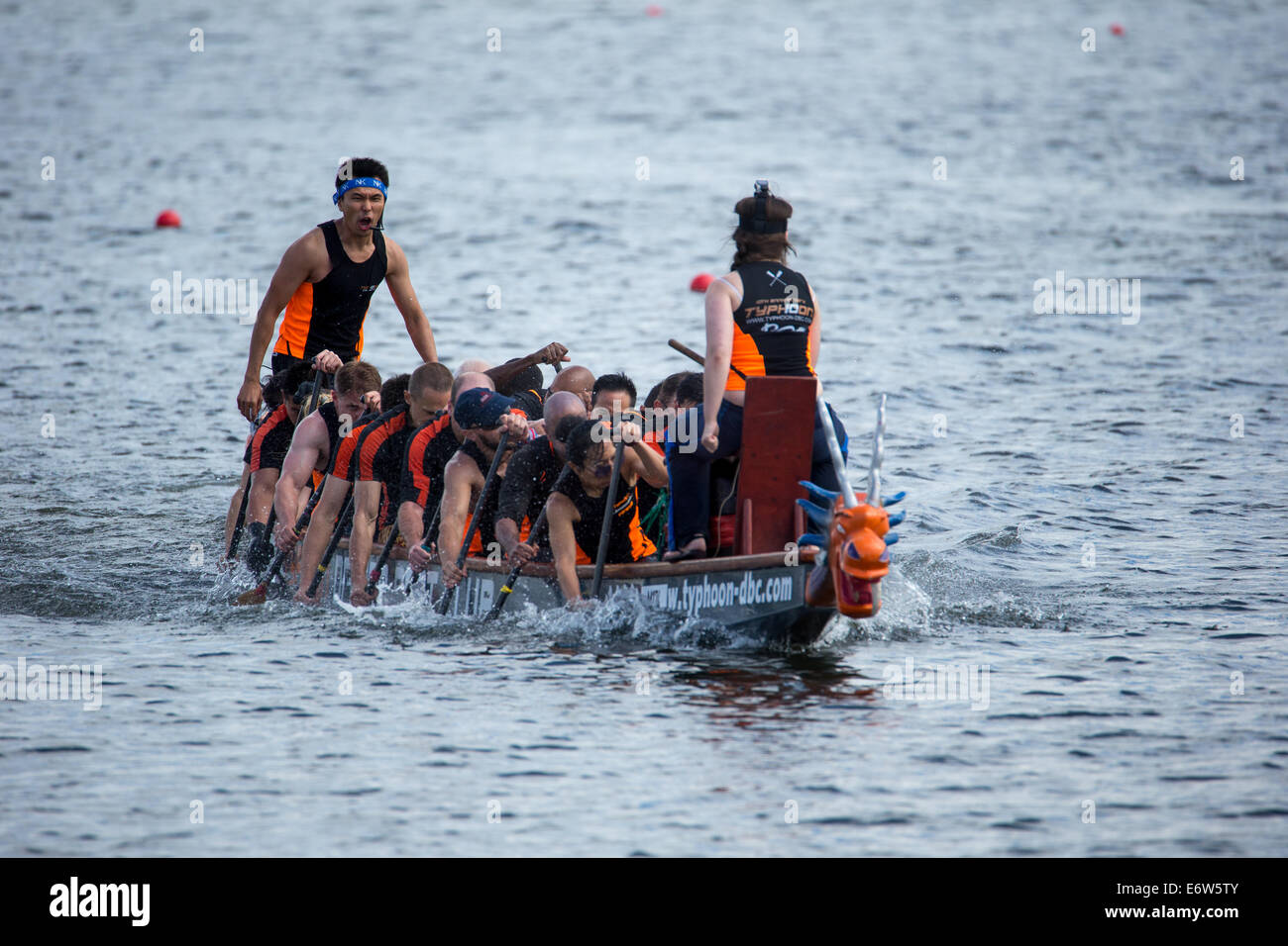 Dragon boat regatta london hi-res stock photography and images - Alamy