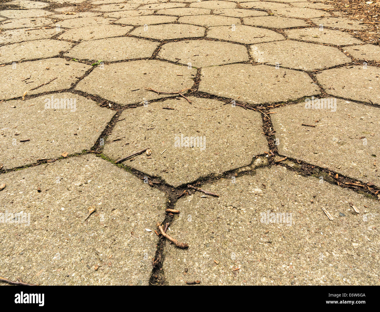 Closeup of hexagonal stone sidewalk texture background Stock Photo - Alamy