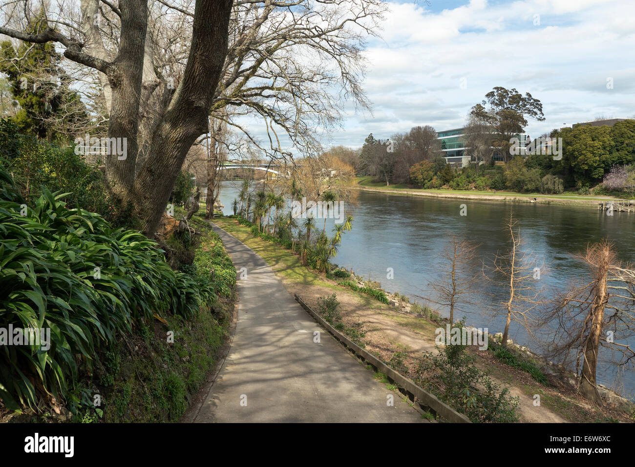 Riverside view of Waikato River running through the city of Hamilton ...