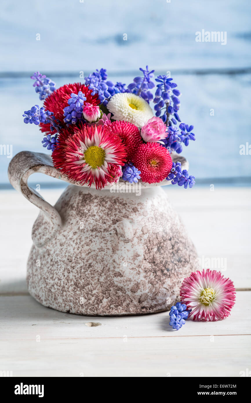 Blue spring flowers in a vase Stock Photo - Alamy