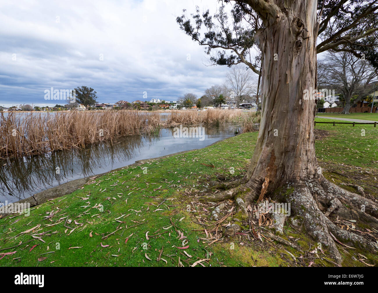 Hamilton city, new zealand hi-res stock photography and images - Alamy