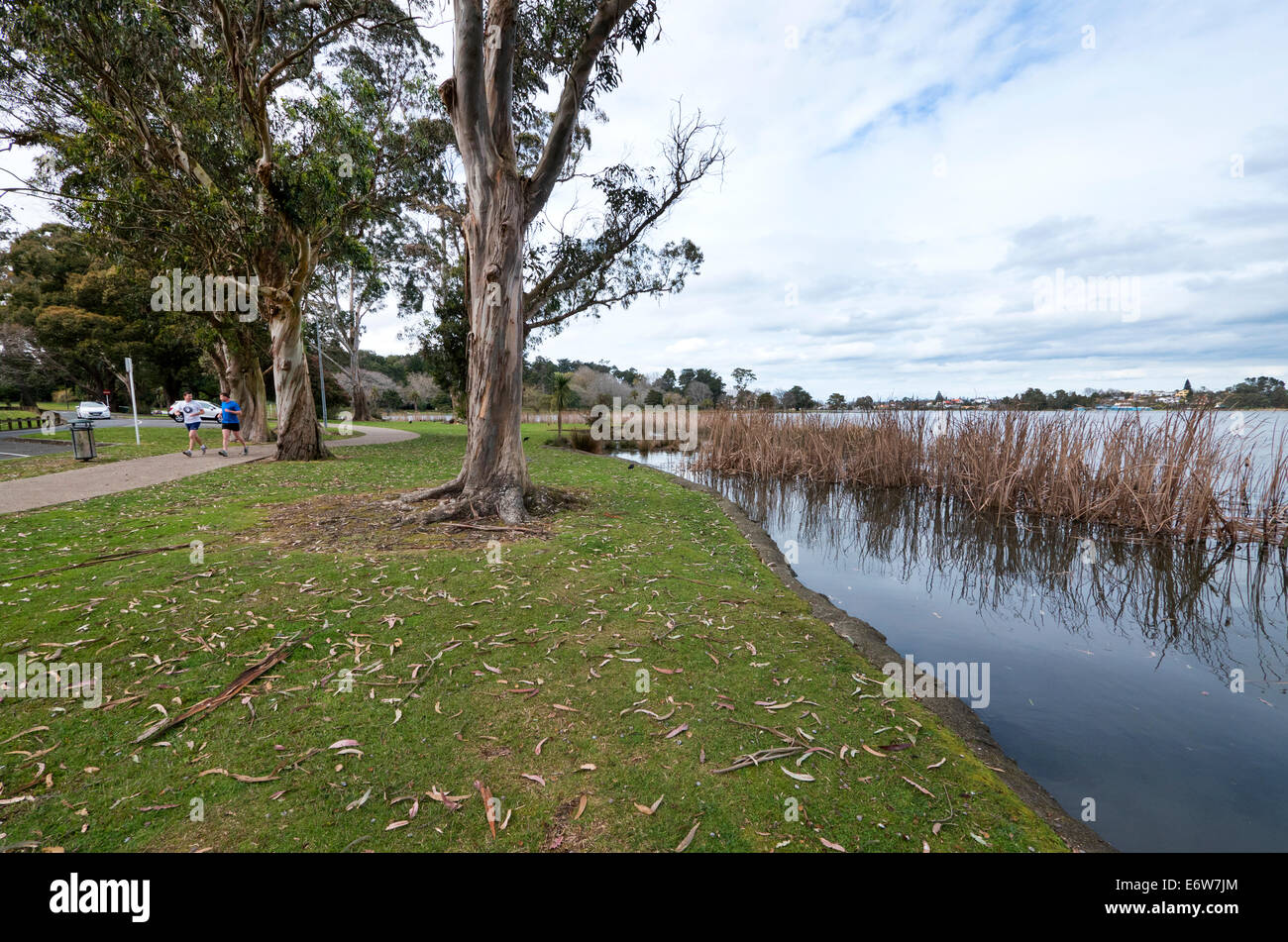 Lakeside view of Lake Hamilton, city of Hamilton, Waikato, New Zealand ...