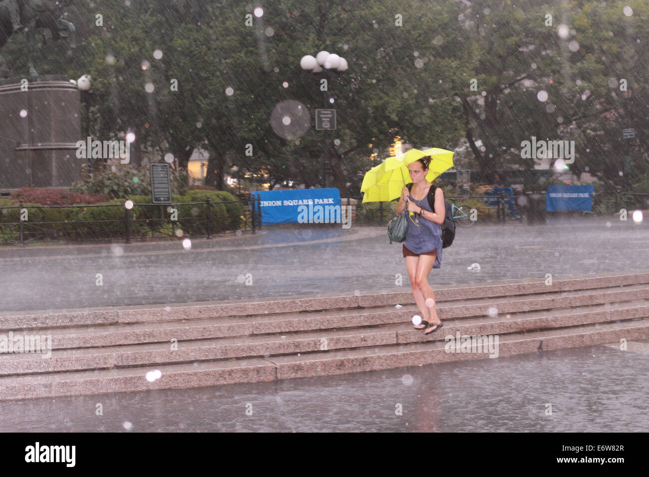 New York, New York, USA. 31st Aug, 2014. International Wackadoodle Love ...