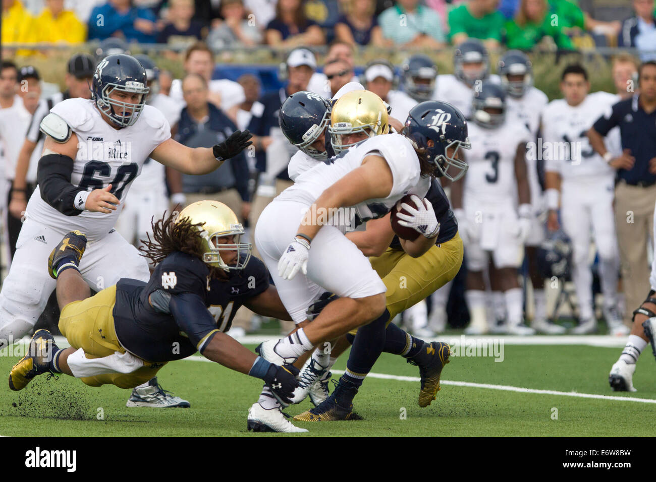 Sheldon turner hi-res stock photography and images - Alamy