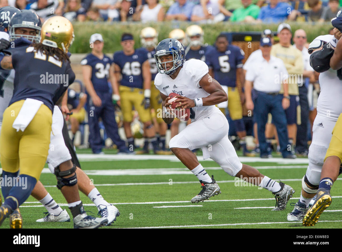 Jackson rice hi-res stock photography and images - Alamy