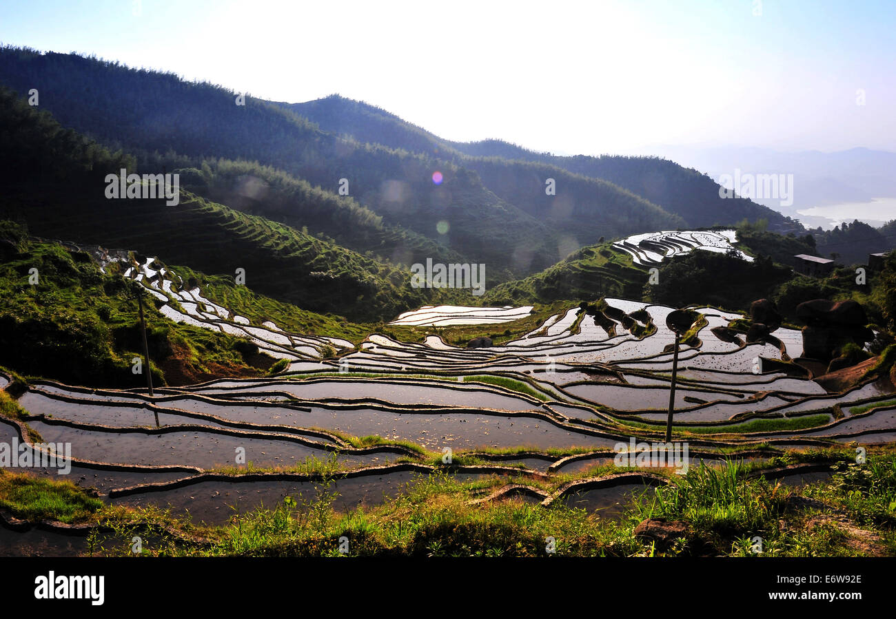 Hunan province field and plant hi-res stock photography and images - Alamy
