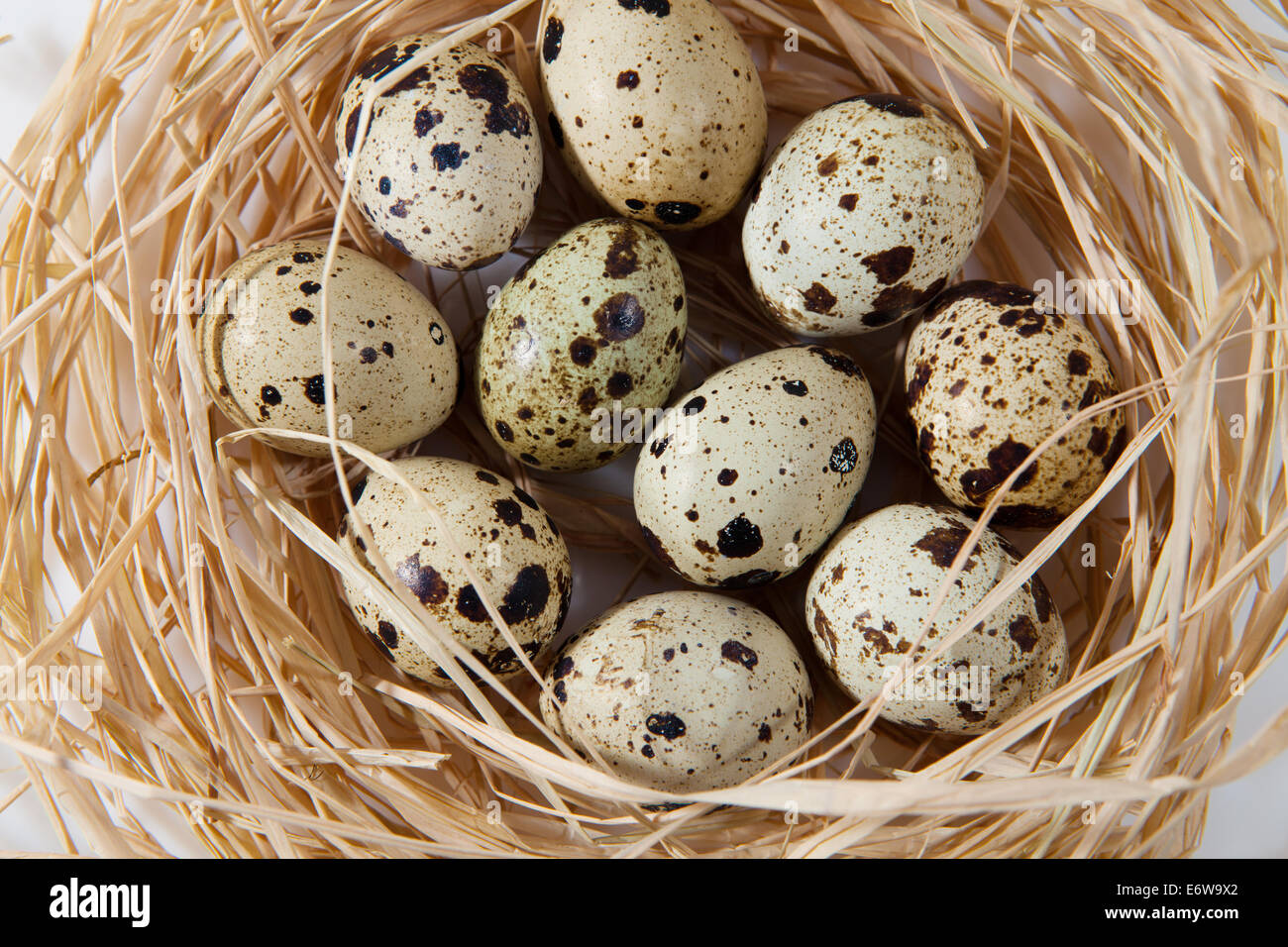 Group of quail eggs hi-res stock photography and images - Alamy