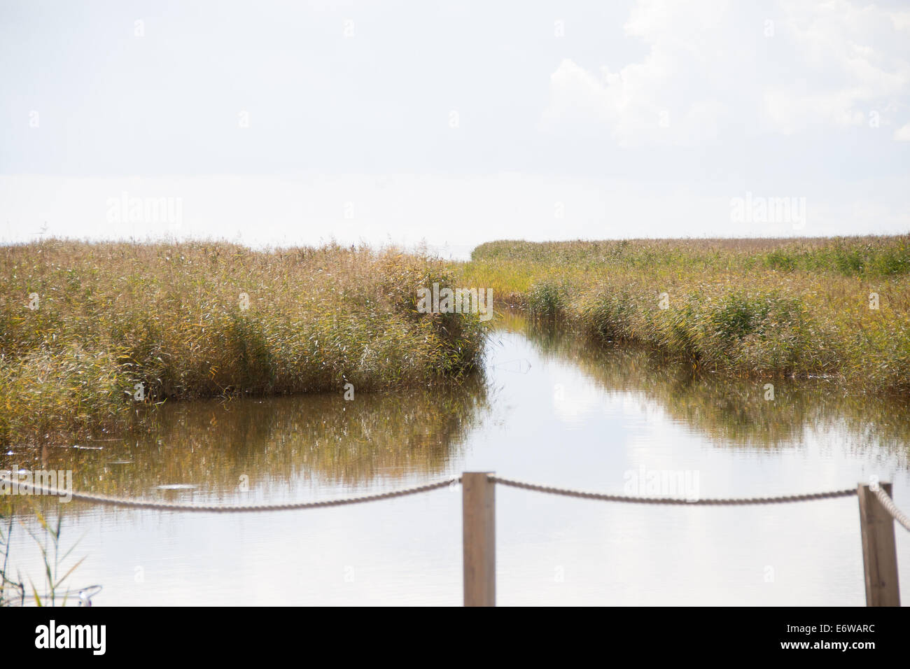 Harbor nature hi-res stock photography and images - Alamy