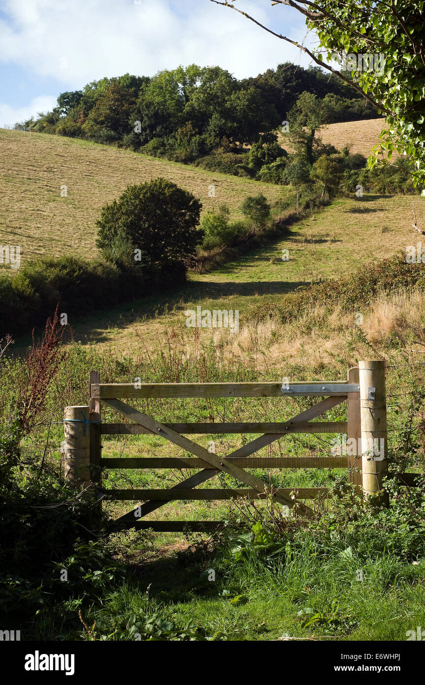 gate and fields of south devon,south, devon, hill, rolling, uk, tree ...