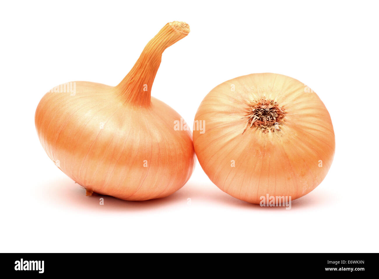 Two yellow onions hi-res stock photography and images - Alamy