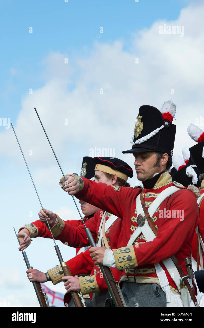 44th East Essex Regiment of foot. Infantry regiment of the British Army ...