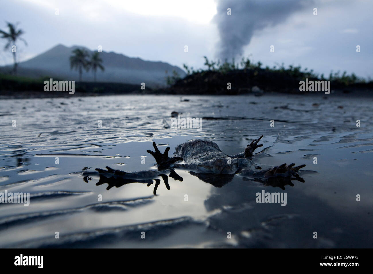 Tavurvur Volcano at daytime. Tavurvur Volcano, Rabaul, East New Britain ...