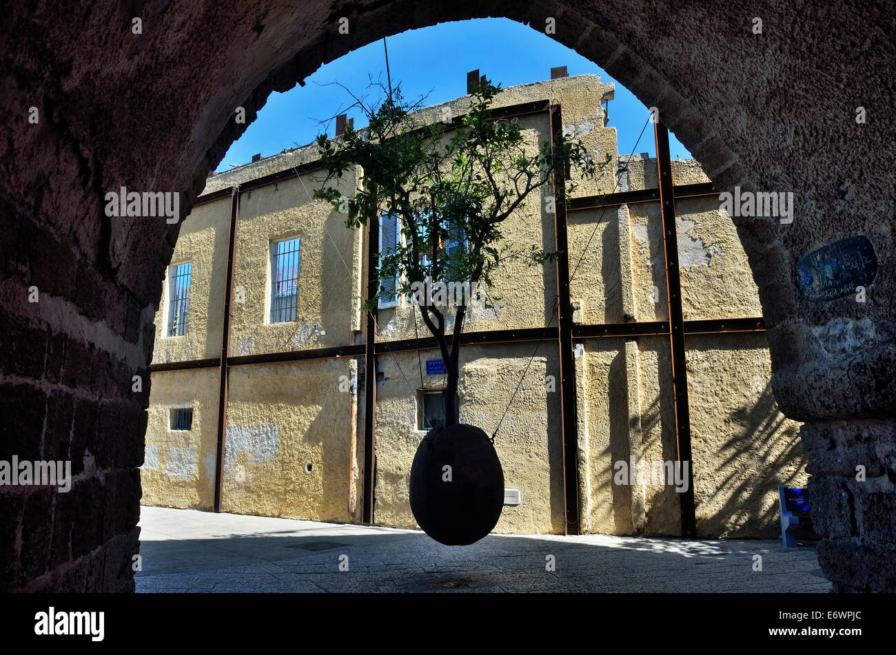 Floating Orange Tree by Ran Morin in Jaffa Old City, Israel Stock Photo ...