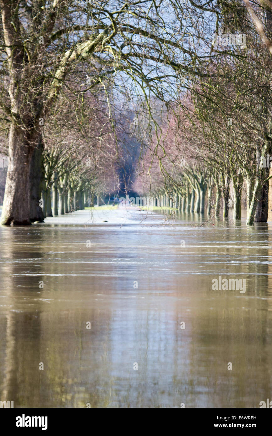 Scenes showing the flooded town of Datchet in Bucks after the river ...
