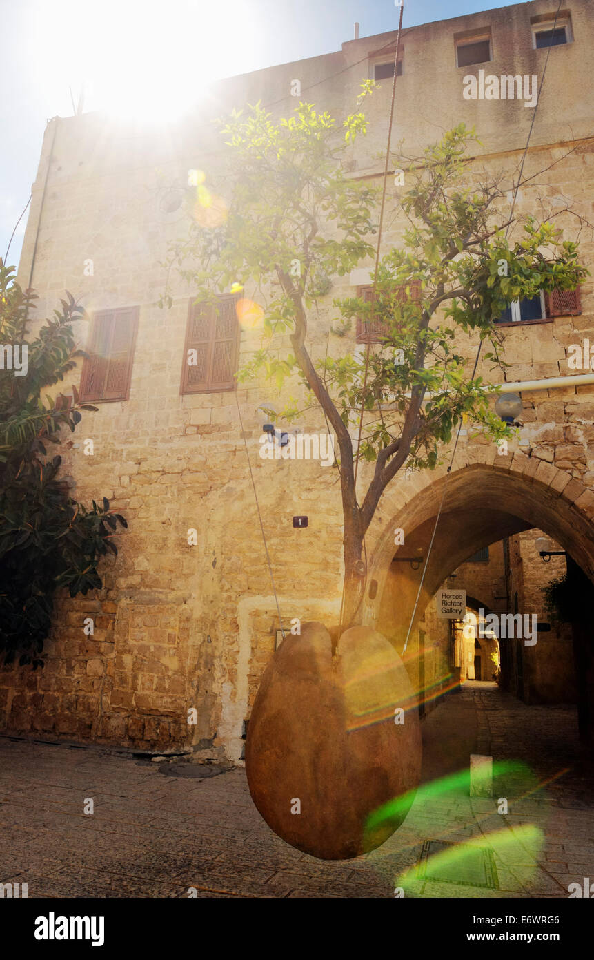 Floating Orange Tree by Ran Morin in Jaffa Old City, Israel Stock Photo ...