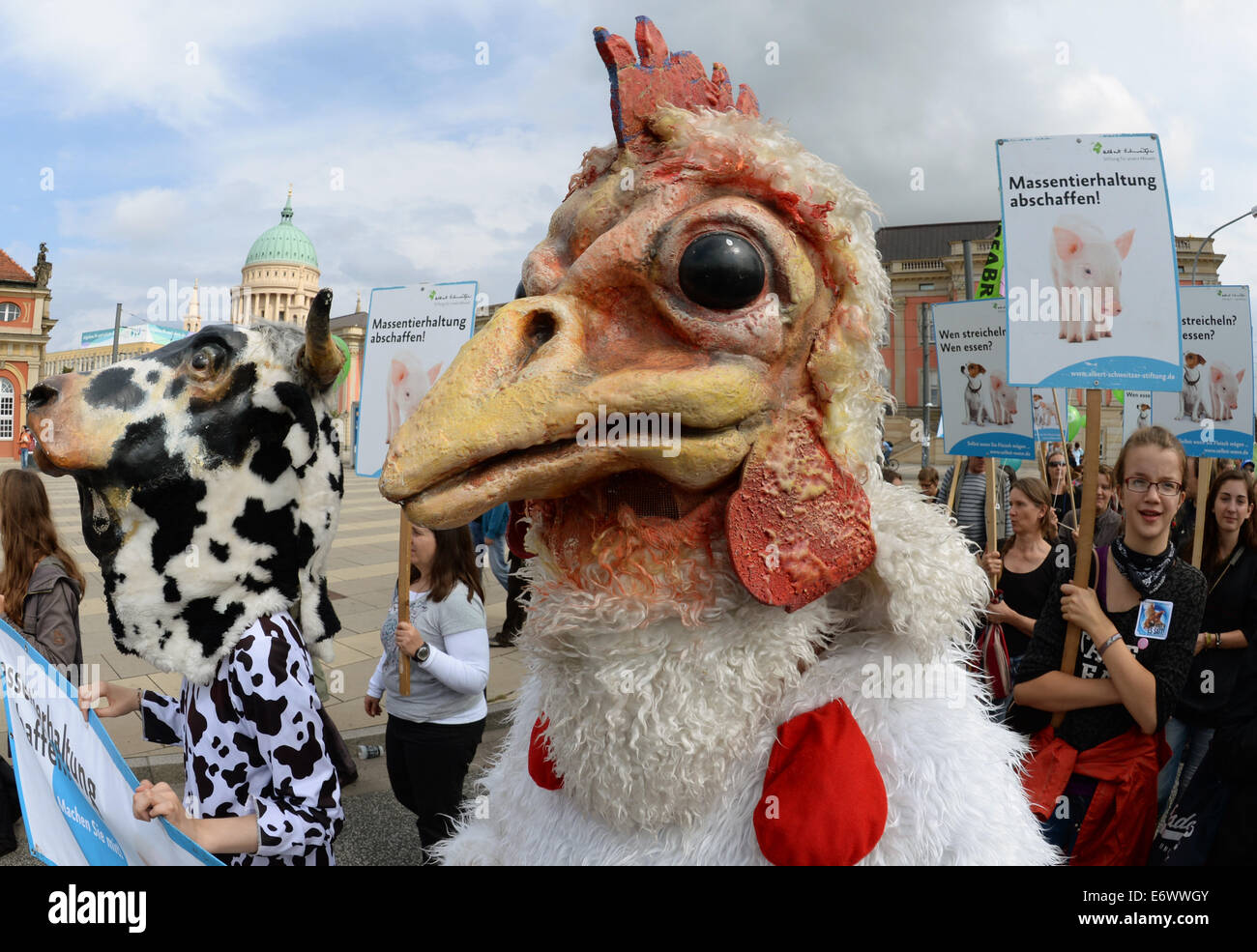 Dressed as a chicken High Resolution Stock Photography and Images - Alamy