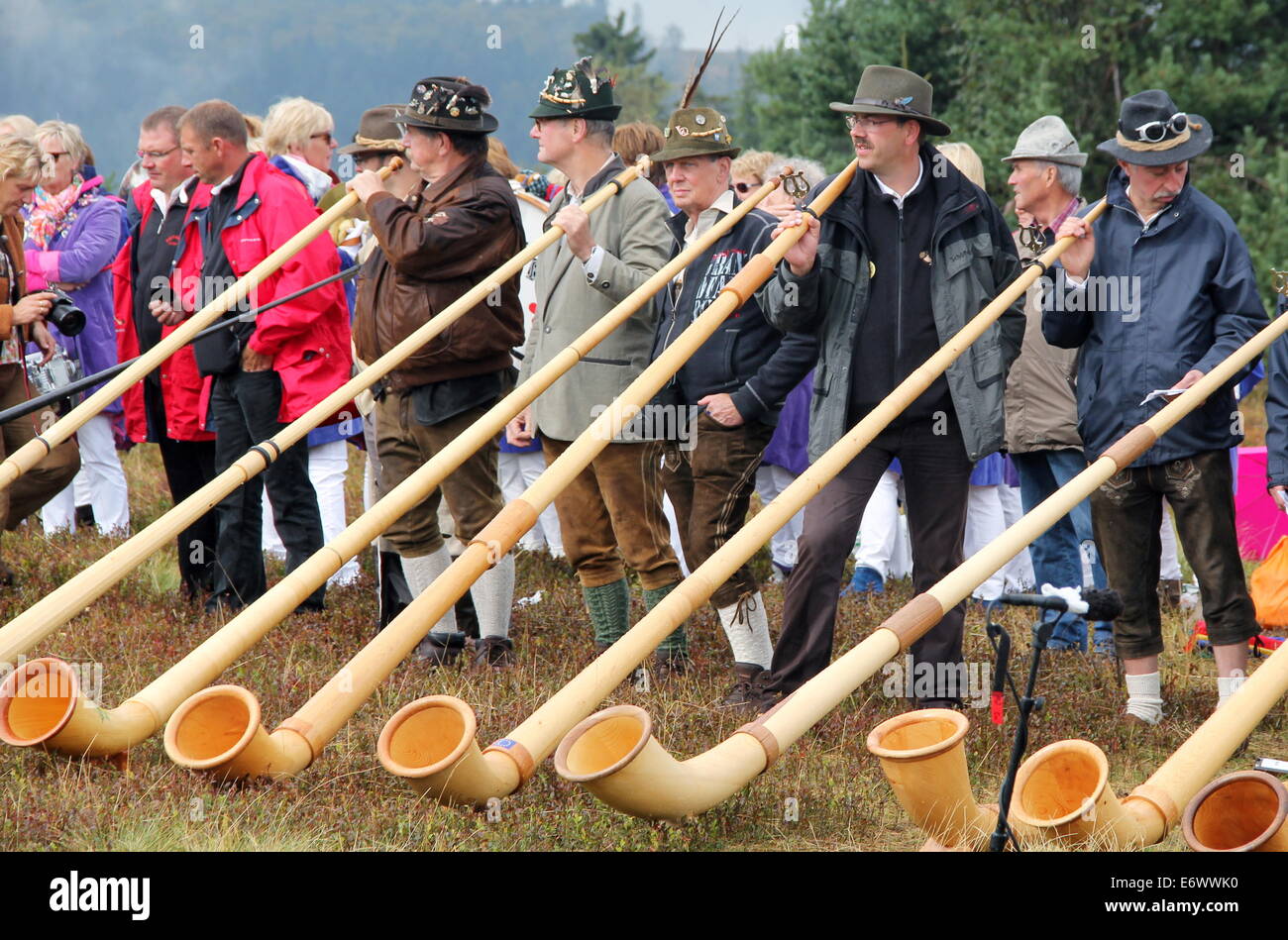 Alphorn musicians playing hi-res stock photography and images - Alamy