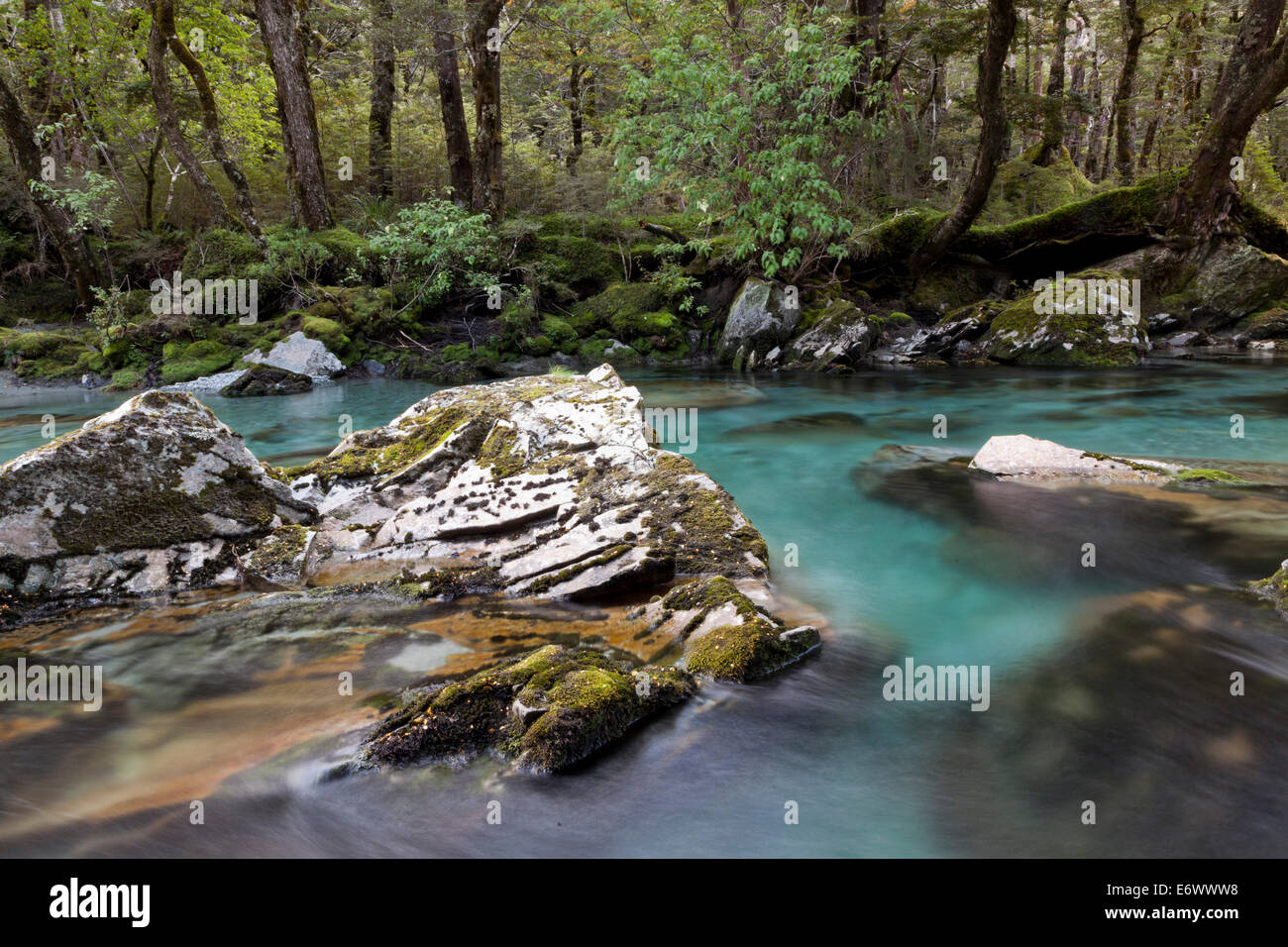 Clear mountain stream water, Routeburn Track, a Great Walk, Mount ...