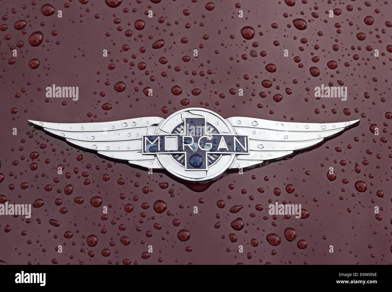 Morgan 4 4 badge hi-res stock photography and images - Alamy