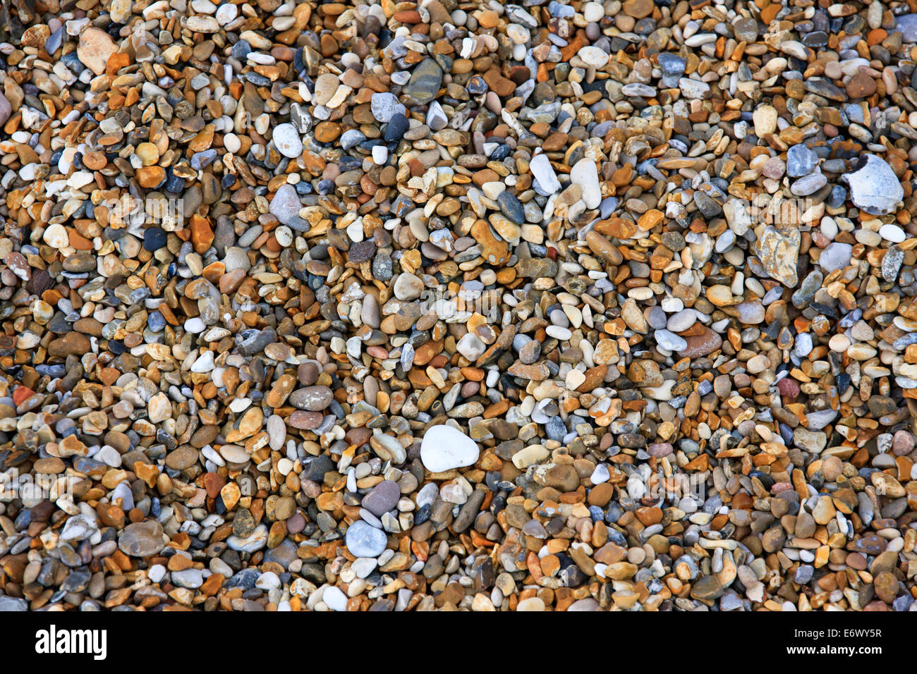 Shingle on the beach Stock Photo - Alamy