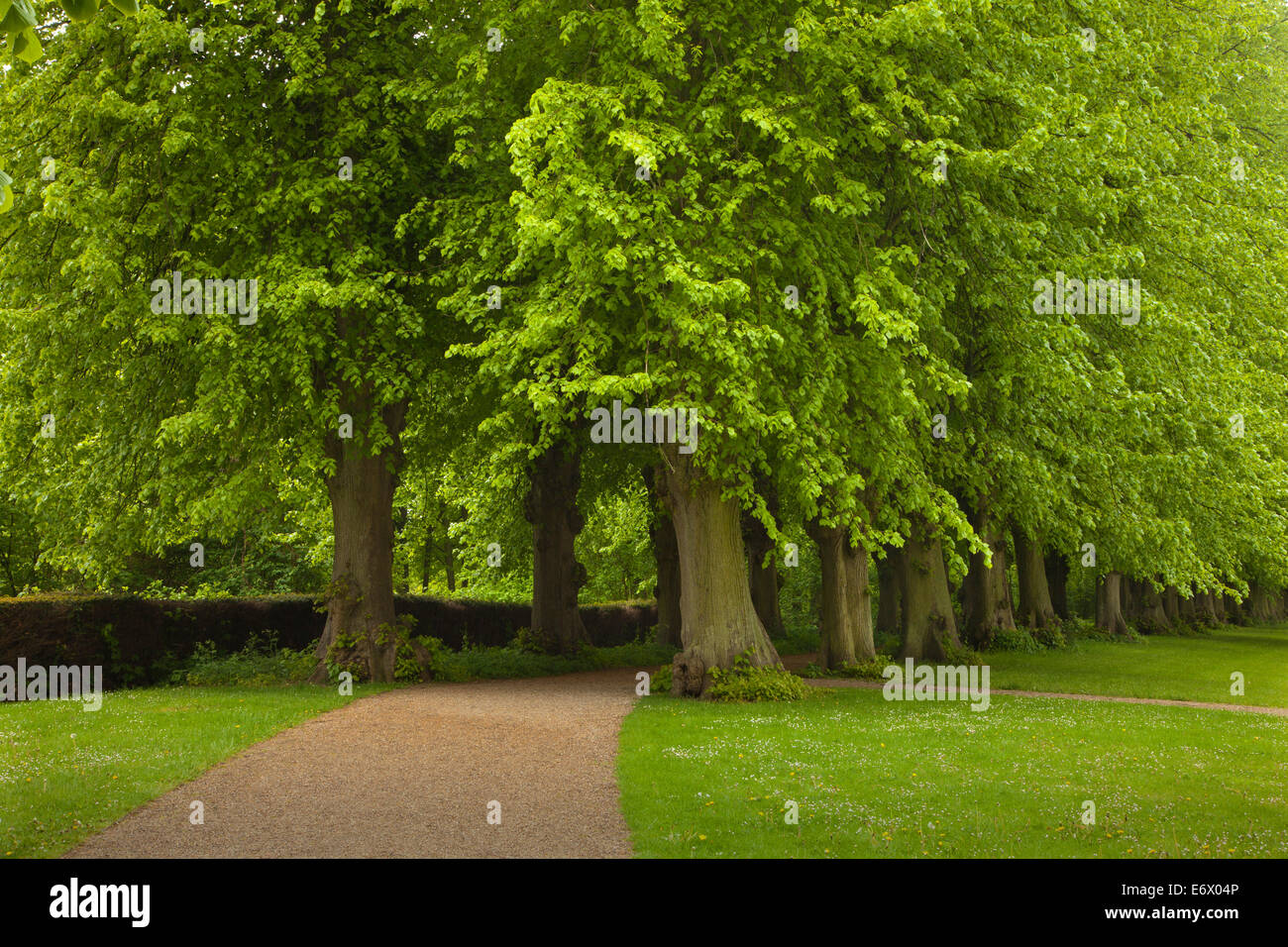 Ploen castle gardens hi-res stock photography and images - Alamy