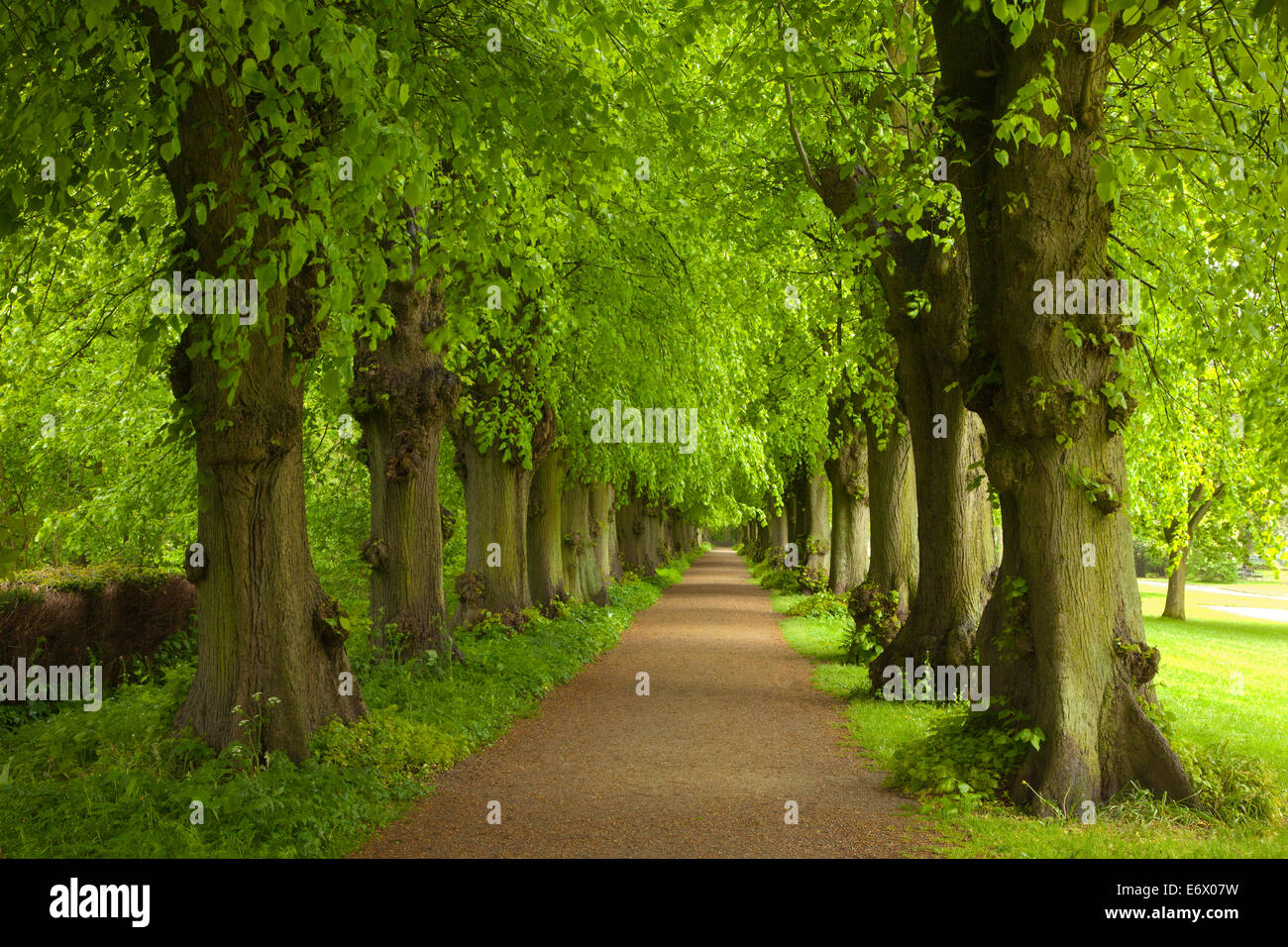 Ploen castle gardens hi-res stock photography and images - Alamy