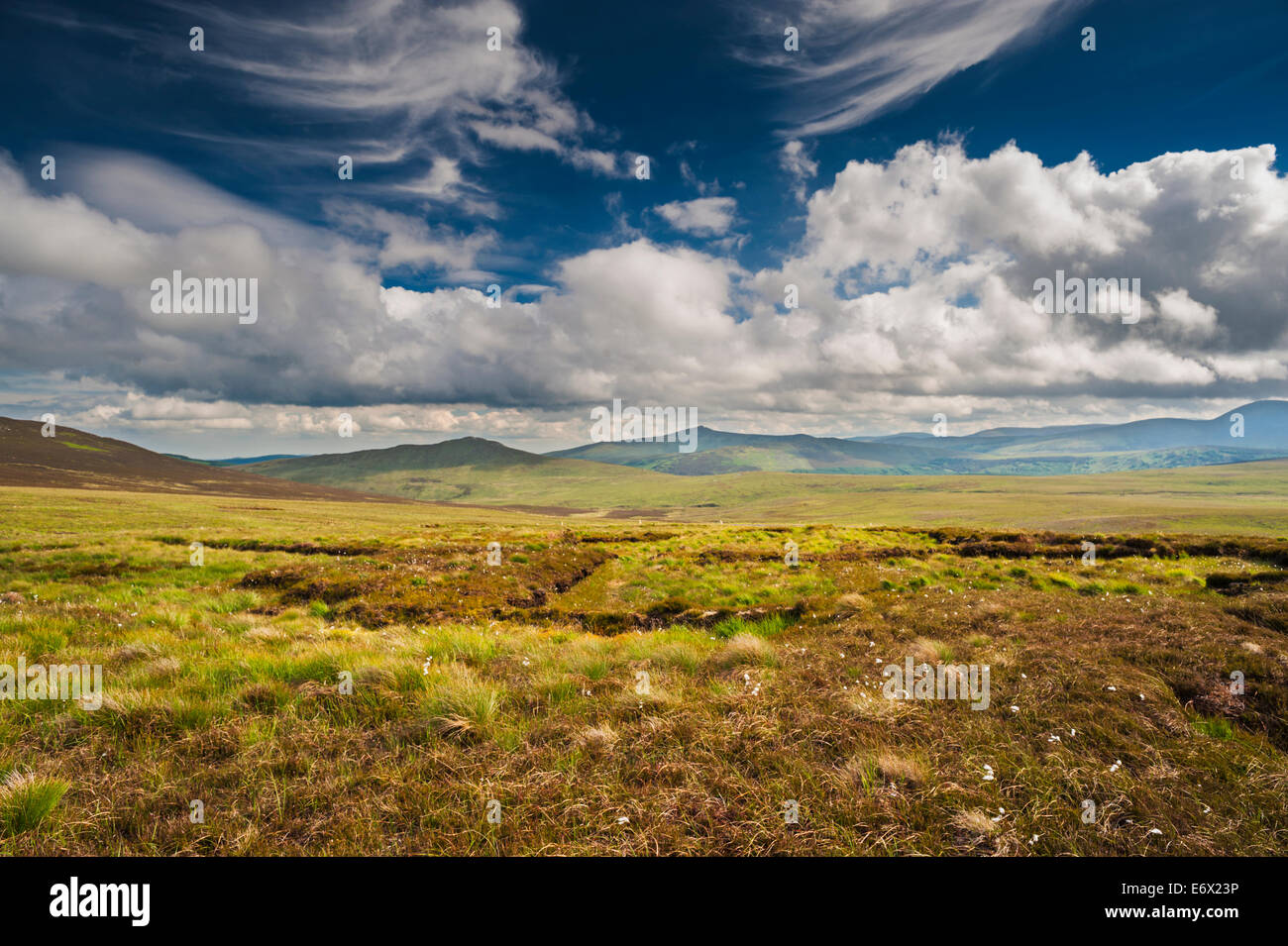 Bogland in early june near hi-res stock photography and images - Alamy