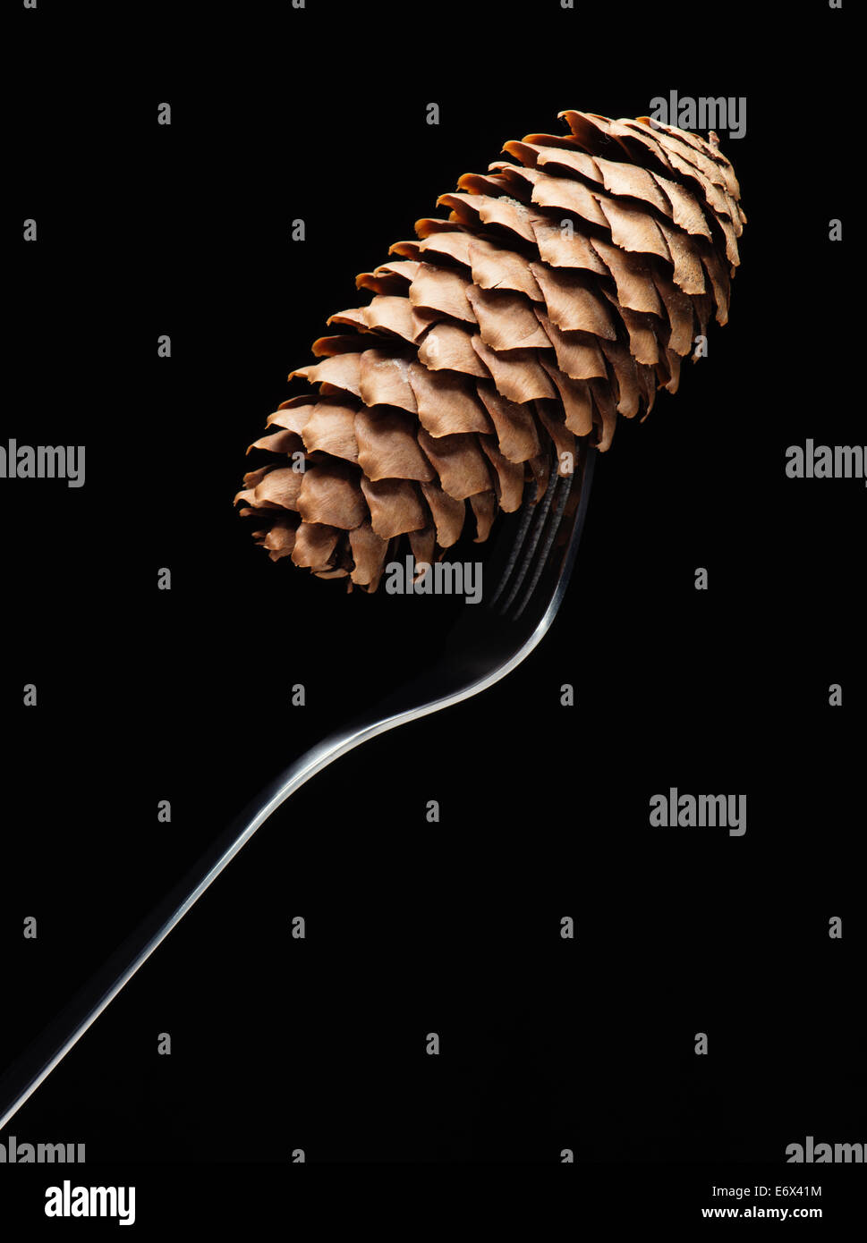 Still life of pine cone on fork Stock Photo - Alamy